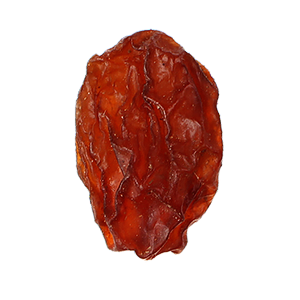 University of California — Power of Public